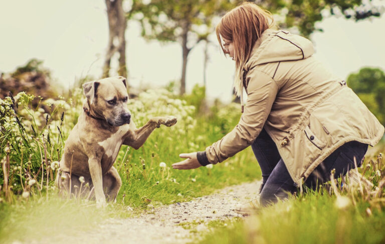 Merle Hansen – Kleintierpraxis Weiche